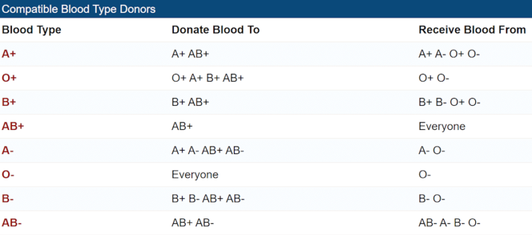 The Best 14 Mysterious Facts About Rh Negative Blood