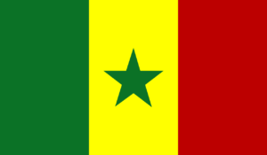 The Best 25 Interesting Facts About Senegal