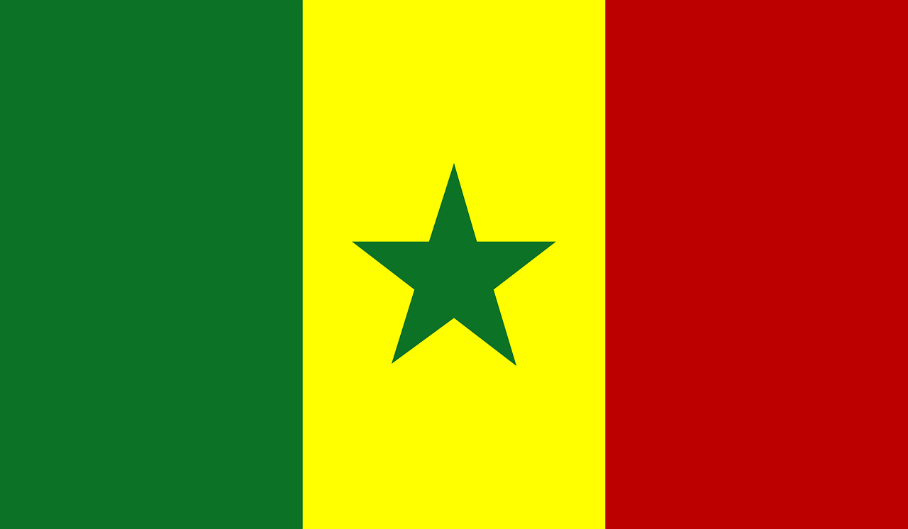 The Best 25 Interesting Facts About Senegal