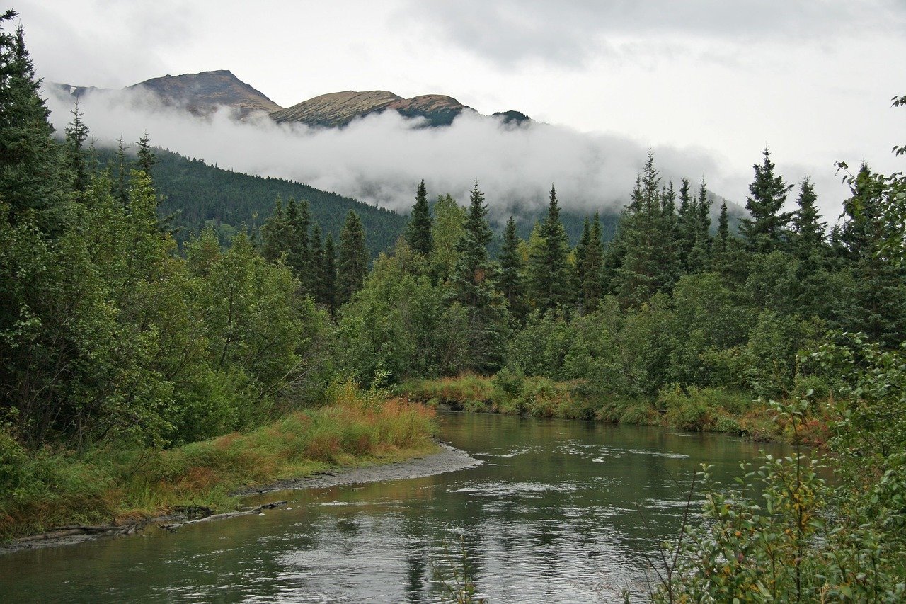 24 Interesting Facts About Alaska: Unveiling the Great Land