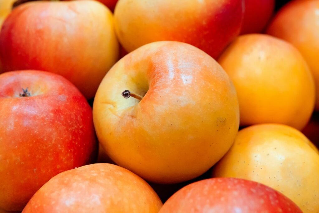 The Best 63 Interesting Facts About Apples: Nature’s Delight