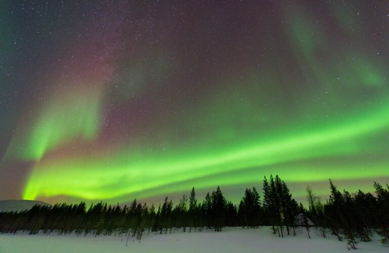 24 Interesting Facts About Alaska: Unveiling the Great Land