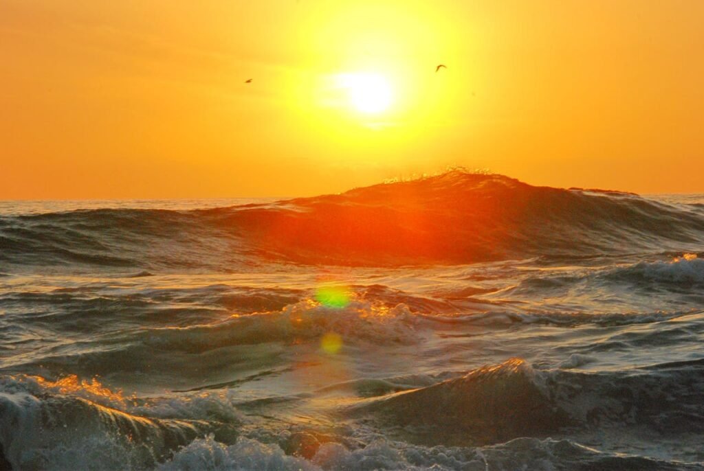 50+ Amazing Facts About the Pacific Ocean You Need to Know