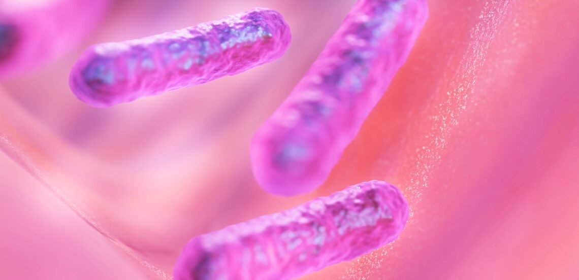 86 Curious Facts About Bacteria You Need to Know