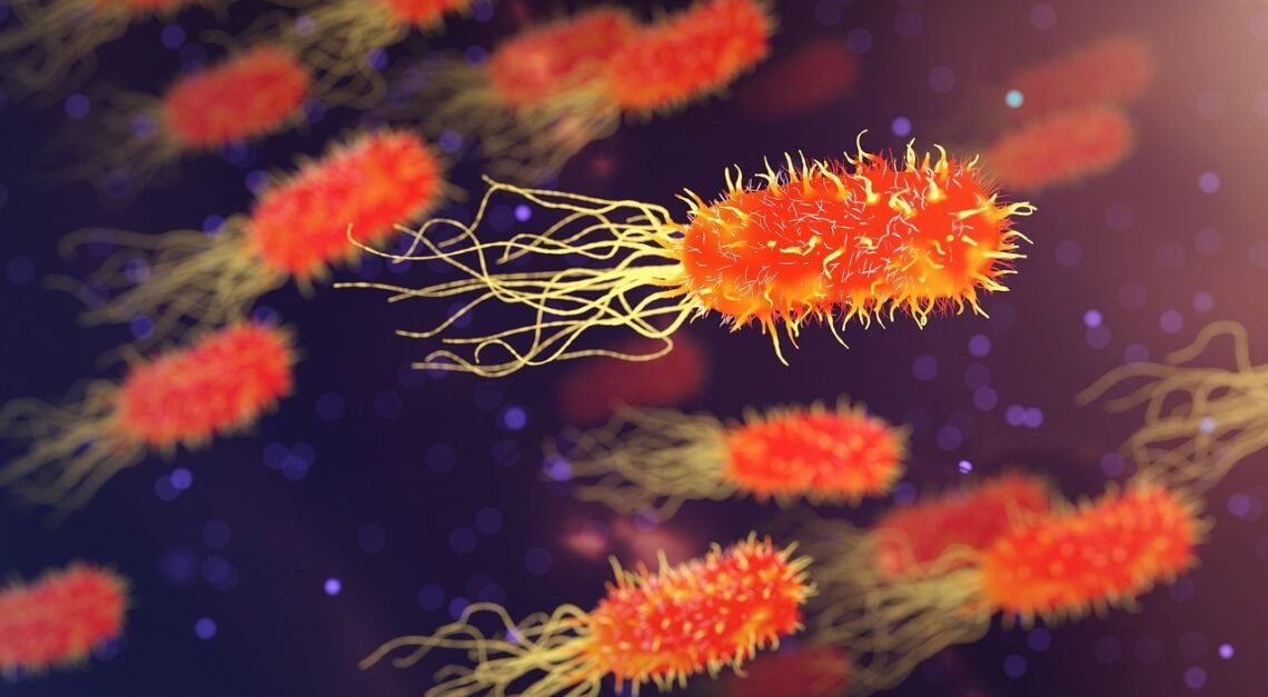 86 Curious Facts About Bacteria You Need to Know